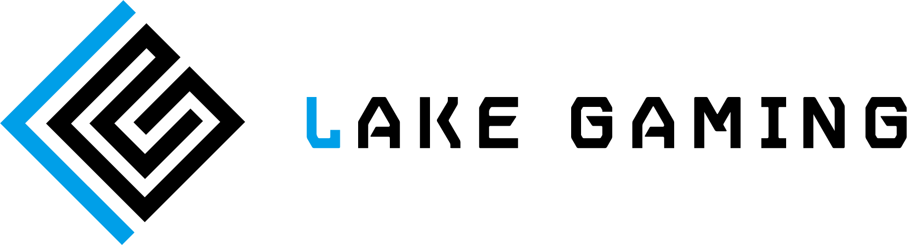 LAKE GAMING | 世界を動かすのはいつだって遊び心だ